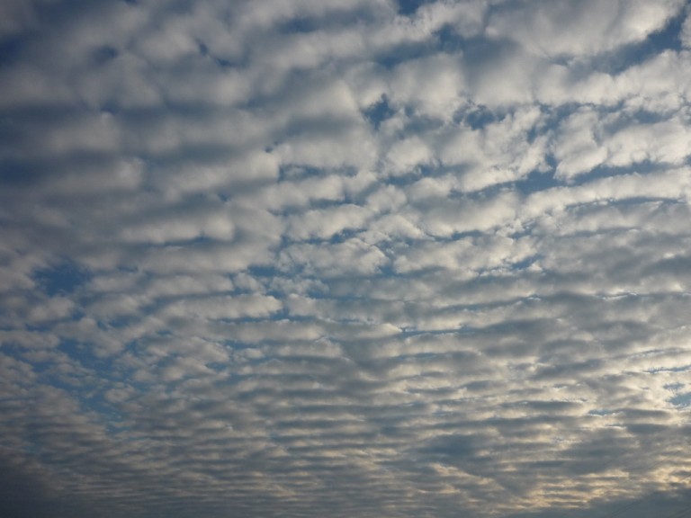 Altocumulus (Ac) | Polscy Łowcy Burz – Skywarn Polska