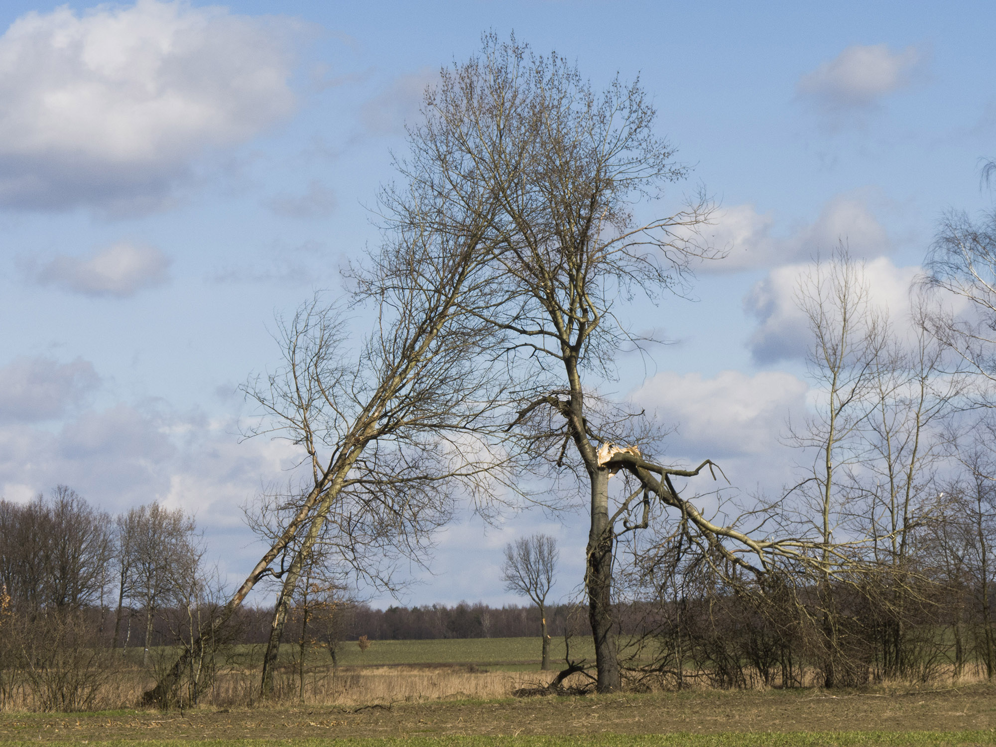 Nawałnica w Warłowie – 18.03.2017 r. | Polscy Łowcy Burz – Skywarn Polska