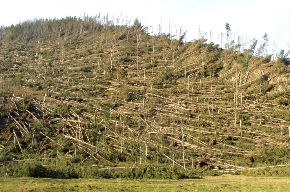 Uwaga na bardzo silny wiatr halny! | Polscy Łowcy Burz – Skywarn Polska